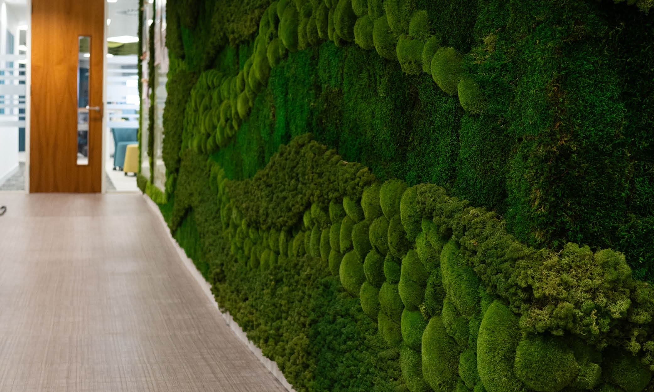 Sustainable office design - Interior Options