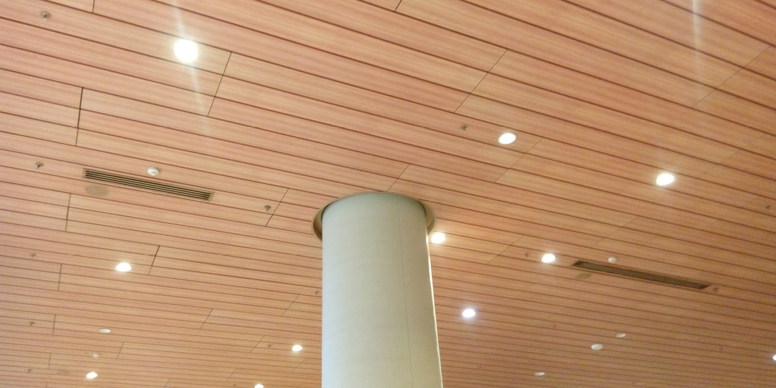 18 Drop Ceiling Design Ideas - Interior Options Ltd